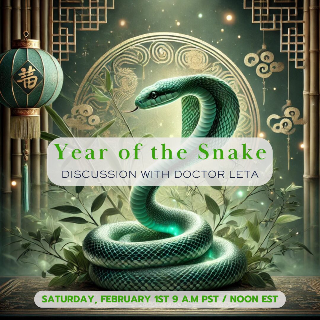 Chinese New Year - Doctor LeTa